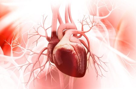 What causes fluid around the heart? - DiseaseFix