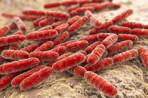 HSV 2 Outbreak Occurrence & Its Management - DiseaseFix